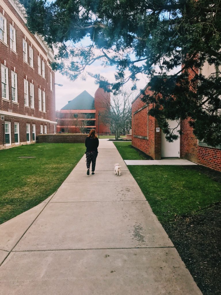 Great Work from Home: Day 23 | The Gettysburgian.