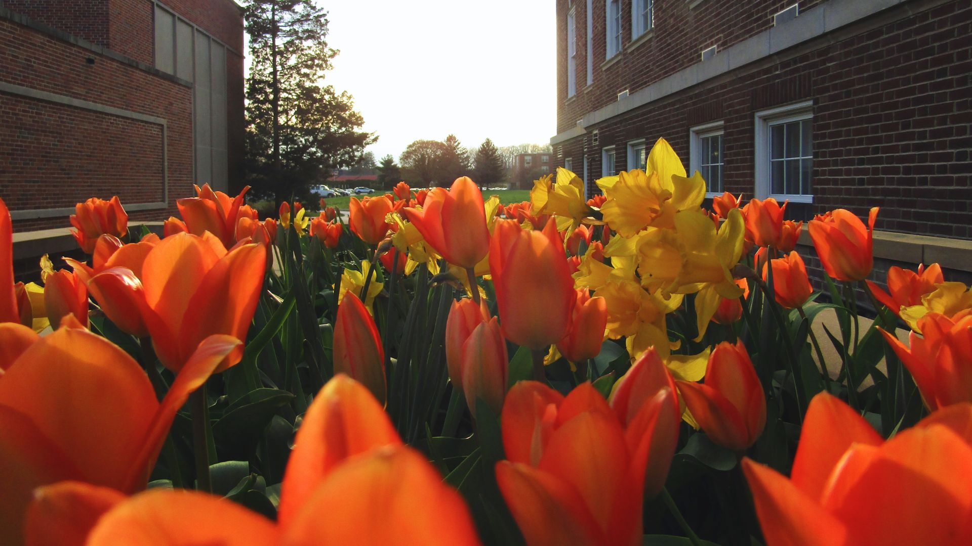The Commons: Opinions from across Campus | The Gettysburgian.