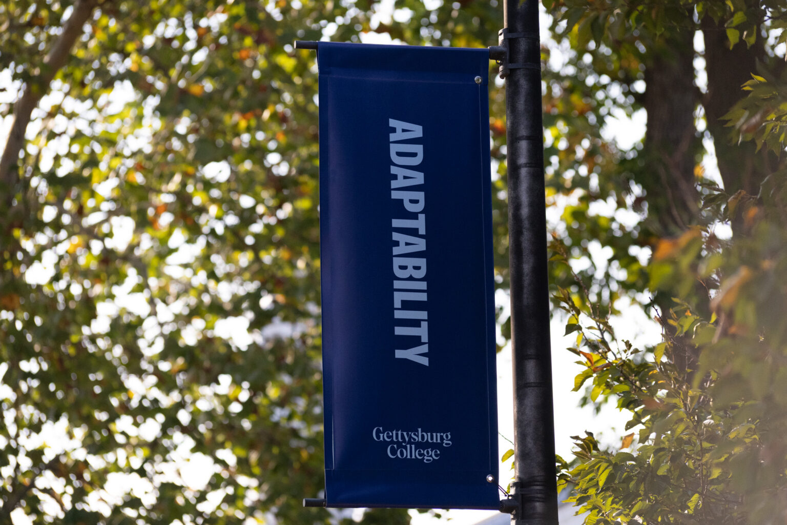 Learning to See the G: Thoughts on a New Visual Identity | The Gettysburgian.